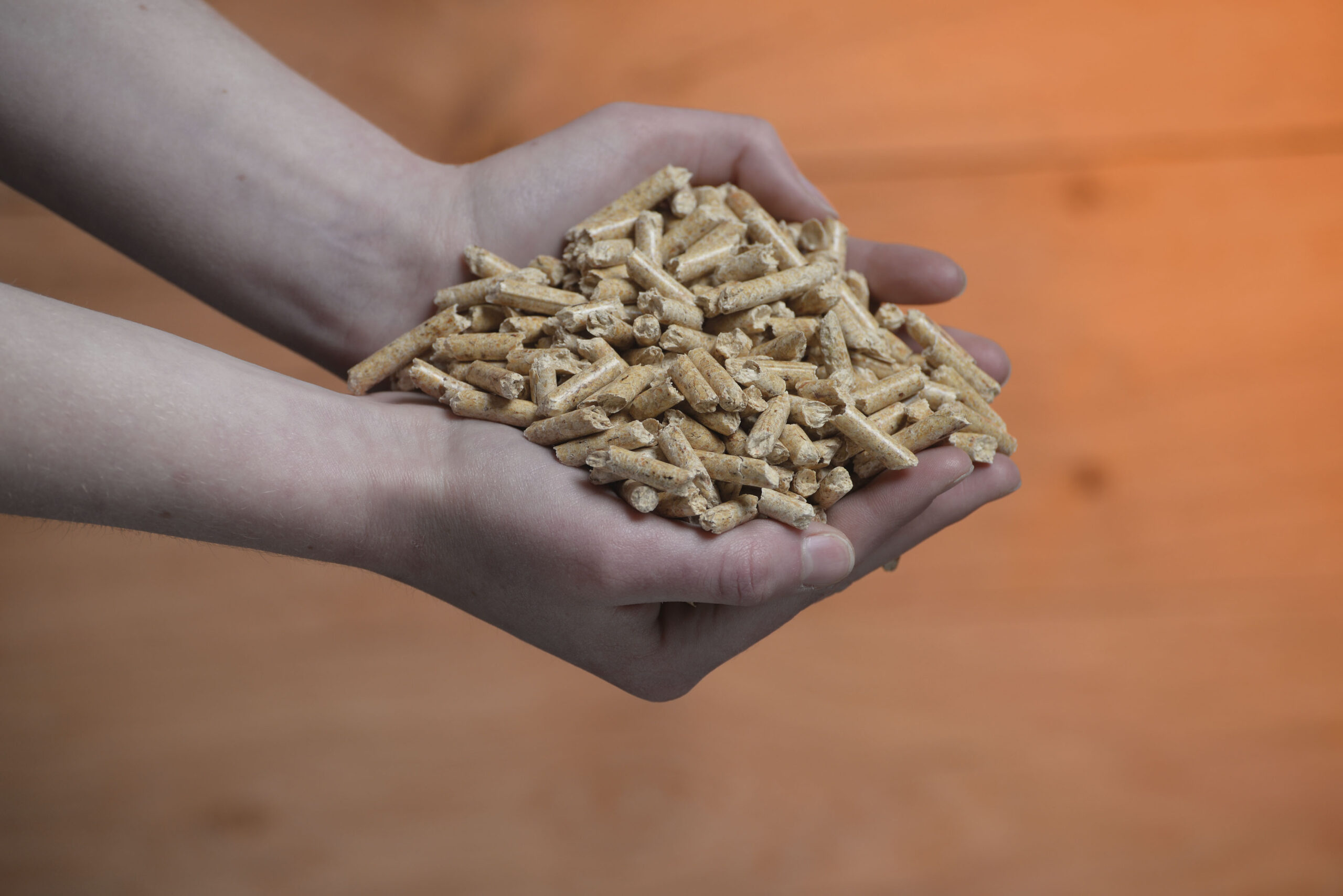 Pellet di legno: È il momento di riempire il deposito – Ticino Digital ...